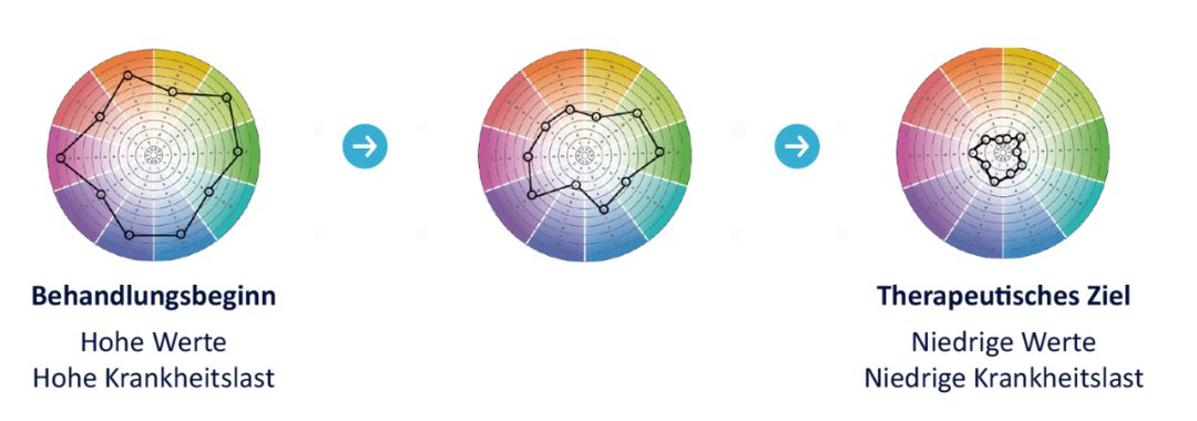 Therapieerfolge mit der CED-Disk sichtbar machen | AbbVie Pro Deutschland