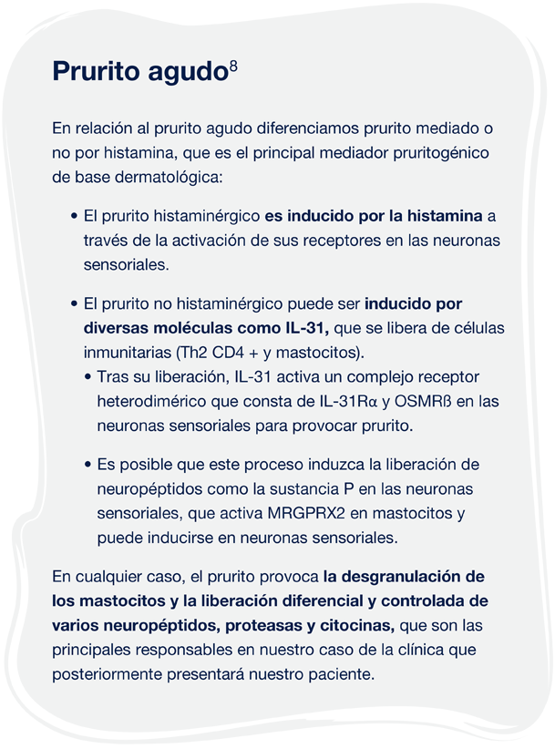 Impacto Del Prurito En Da