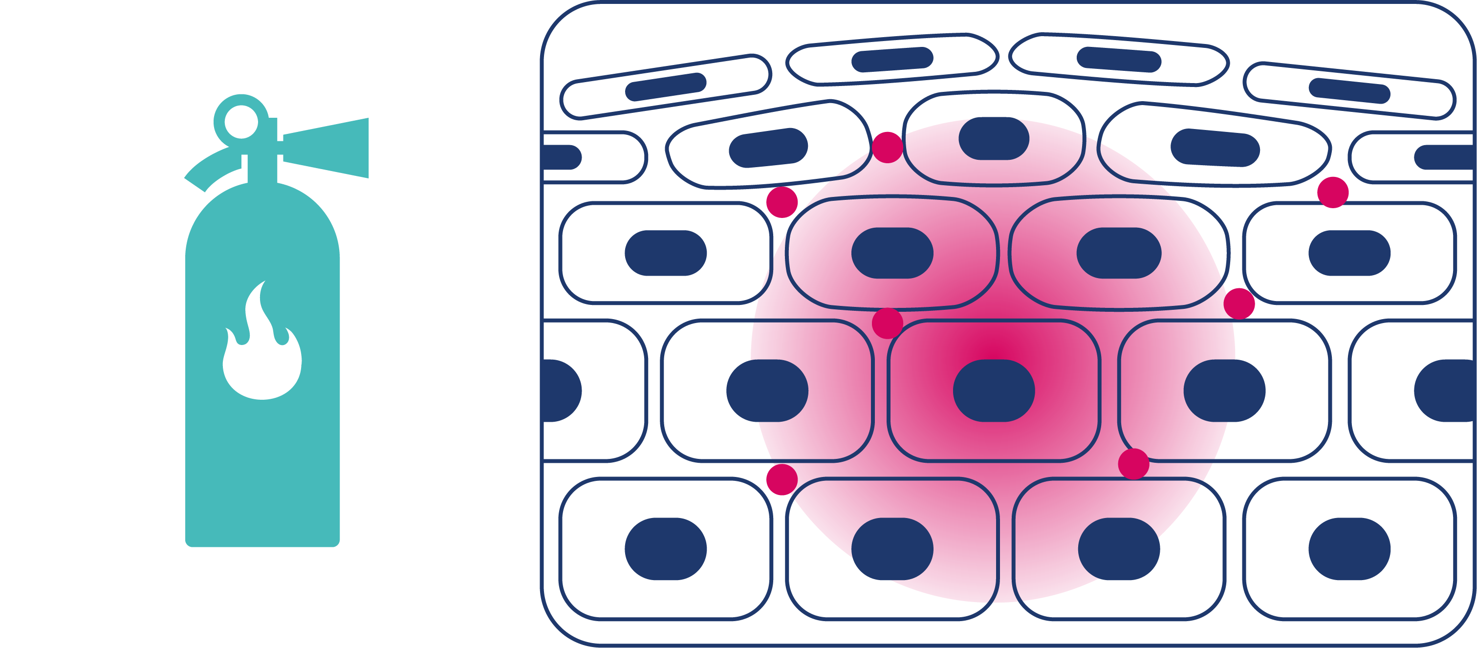 La dermatite atopique : aider le patient à mieux comprendre sa maladie