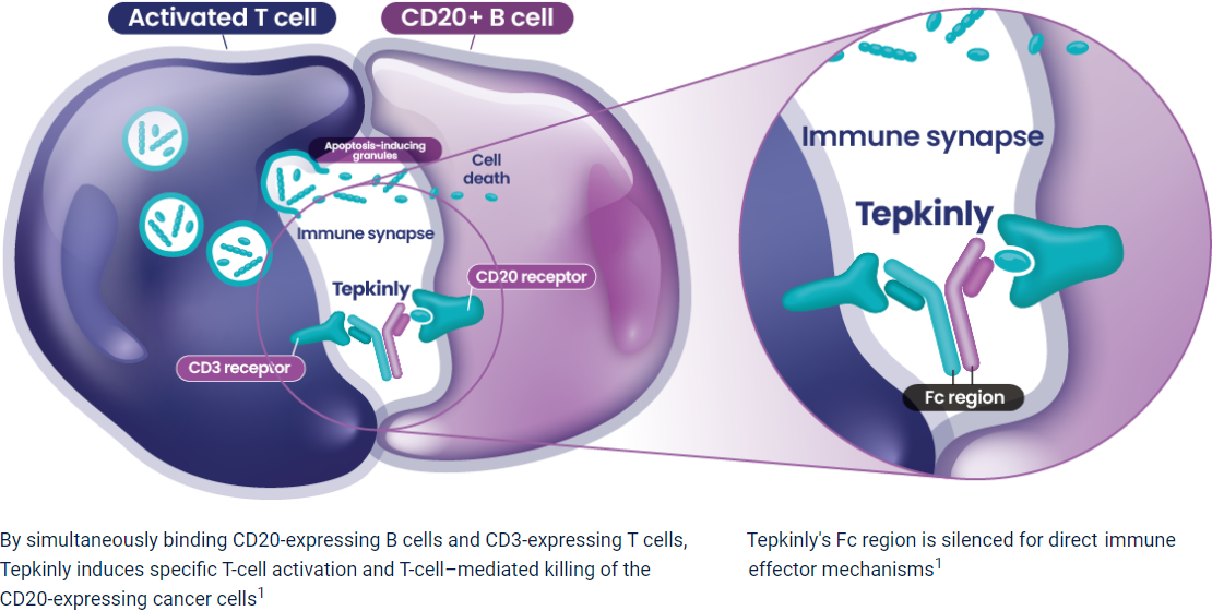 Product information | Haematology | AbbVie UK
