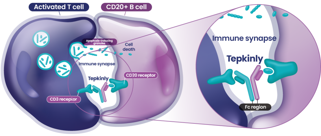 Product information | Haematology | AbbVie UK